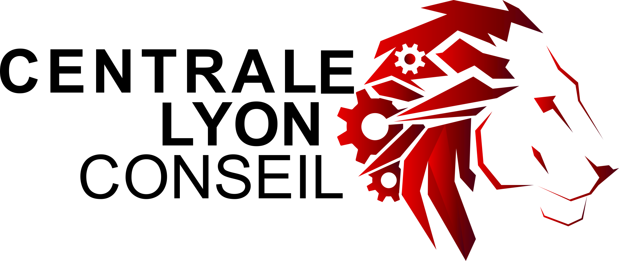 Accueil | Centrale Lyon Conseil